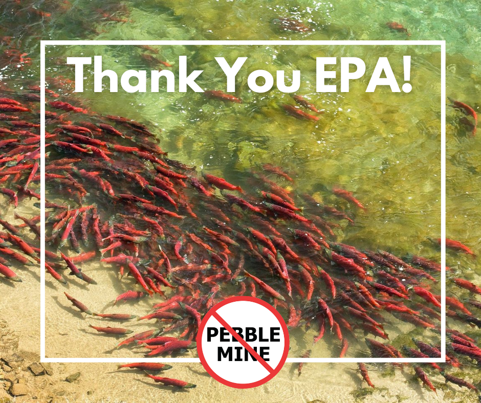 Final Determination for Pebble Deposit Area – The Popsie Fish Company